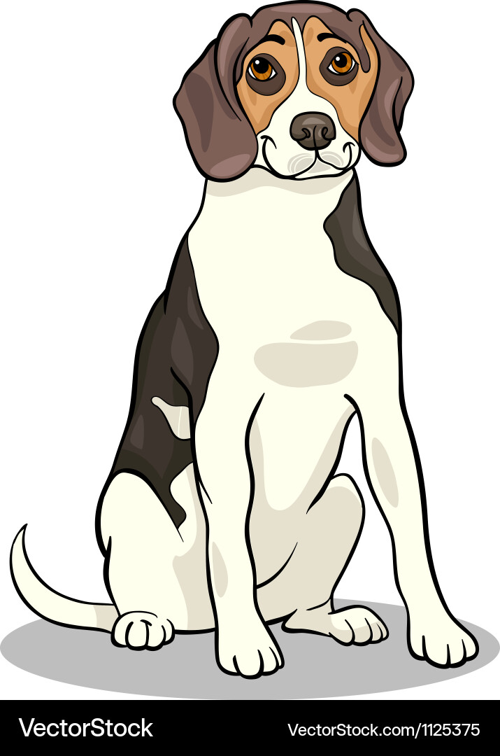 Beagle dog cartoon Royalty Free Vector Image - VectorStock