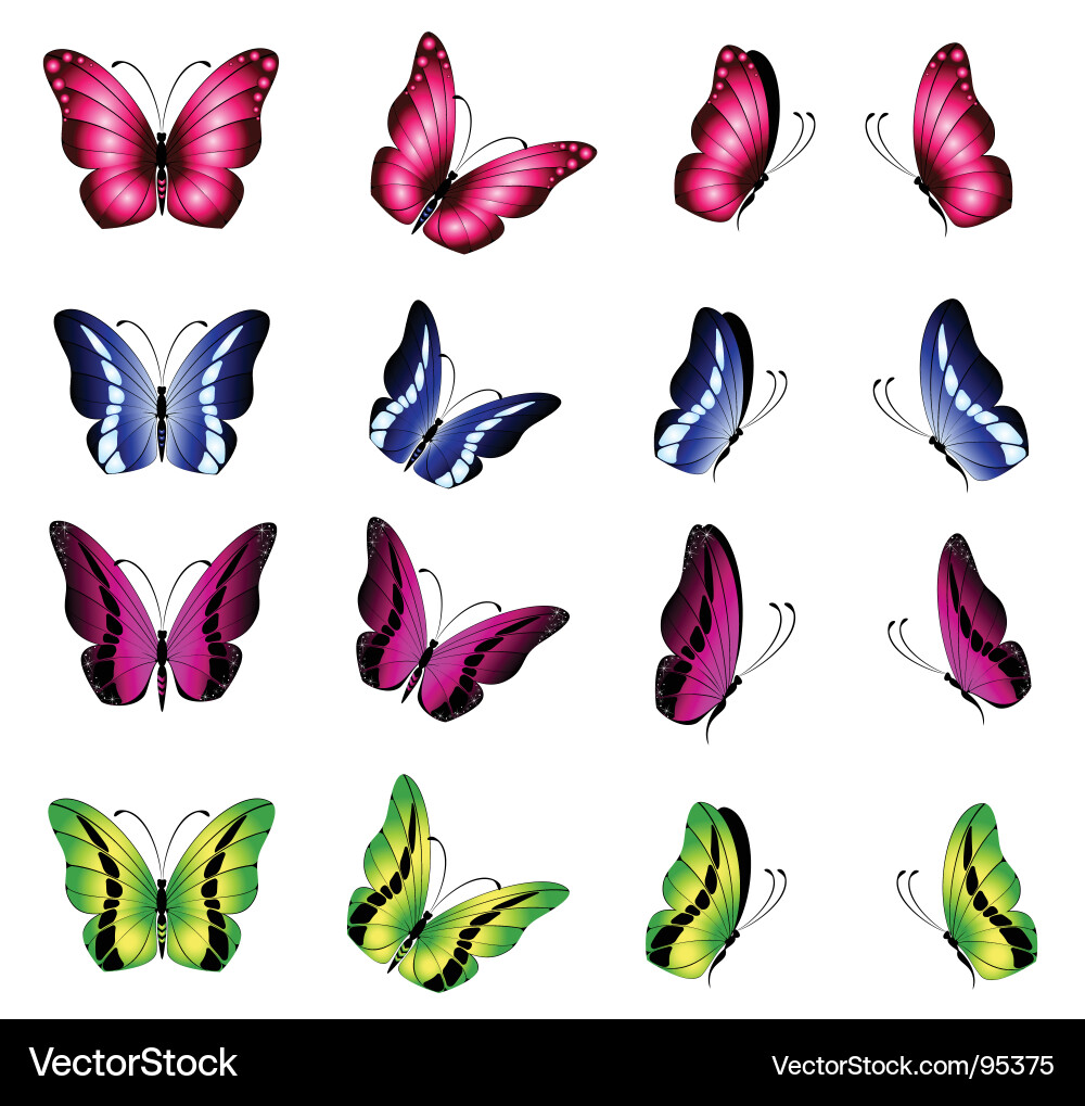 Butterfly Royalty Free Vector Image - VectorStock