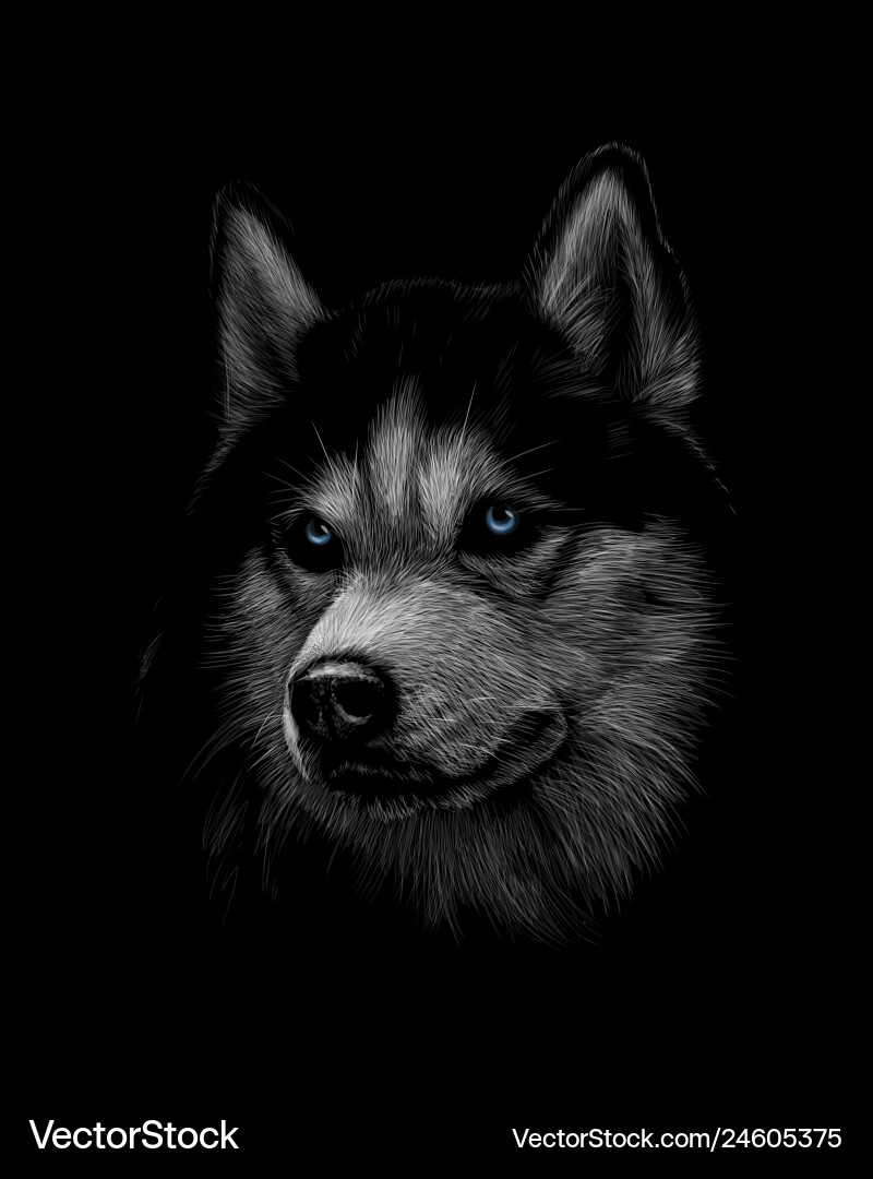 Siberian Husky Face Vector Images (over 970)