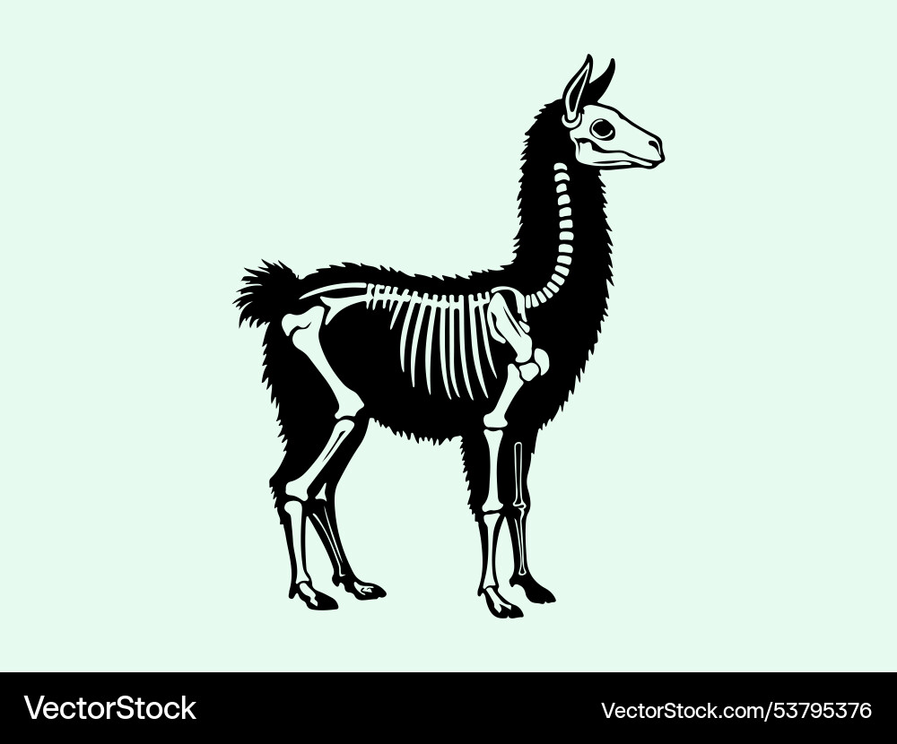 Cartoon alpaca llama mexican sugar skull image Vector Image