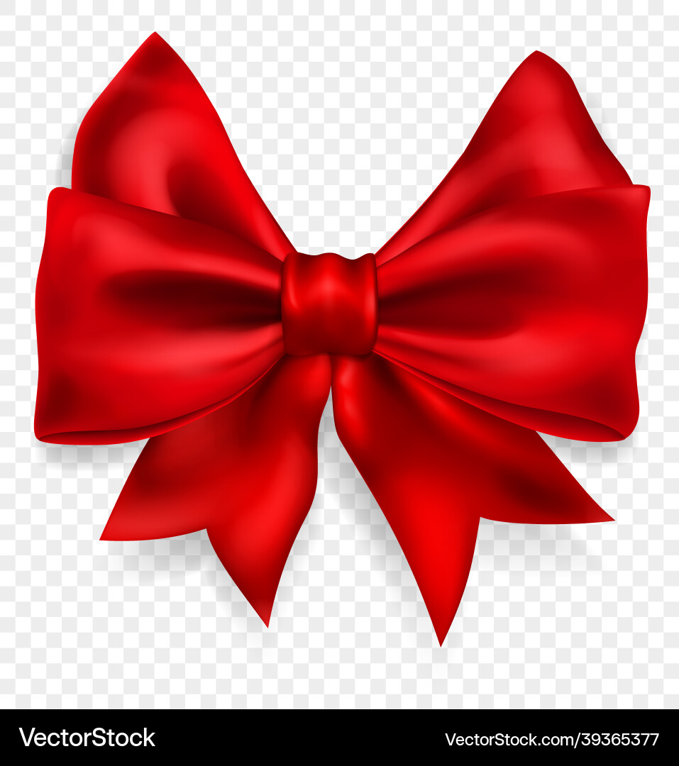 Beautiful big bow Royalty Free Vector Image - VectorStock