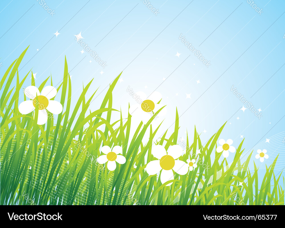 Spring meadow Royalty Free Vector Image - VectorStock