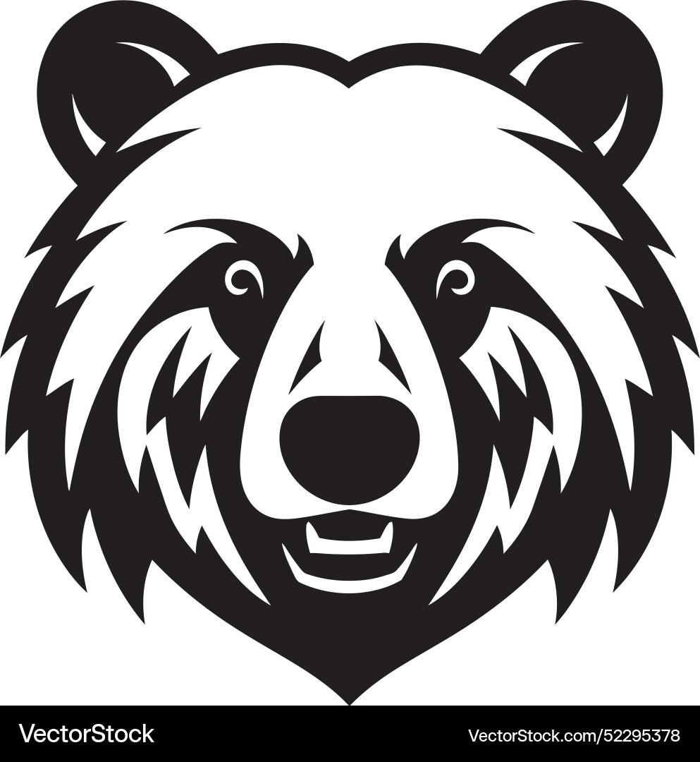 Bold and beautiful black bear in strength wild bea