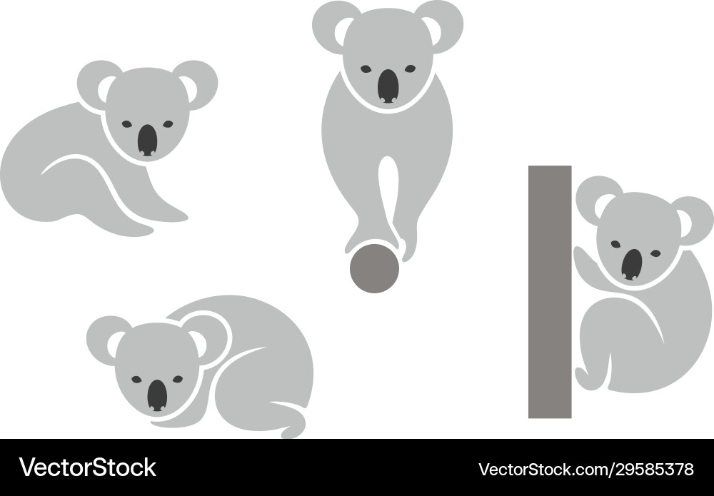 Koala Royalty Free Vector Image - VectorStock