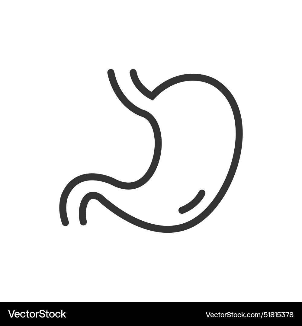 Simple stomach icon isolated Royalty Free Vector Image