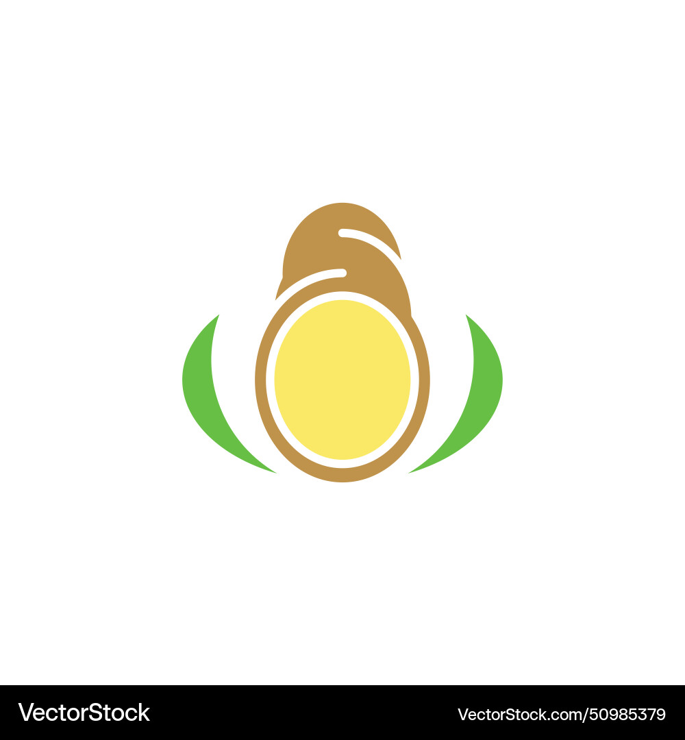 Cutted ginger root logo icon Royalty Free Vector Image