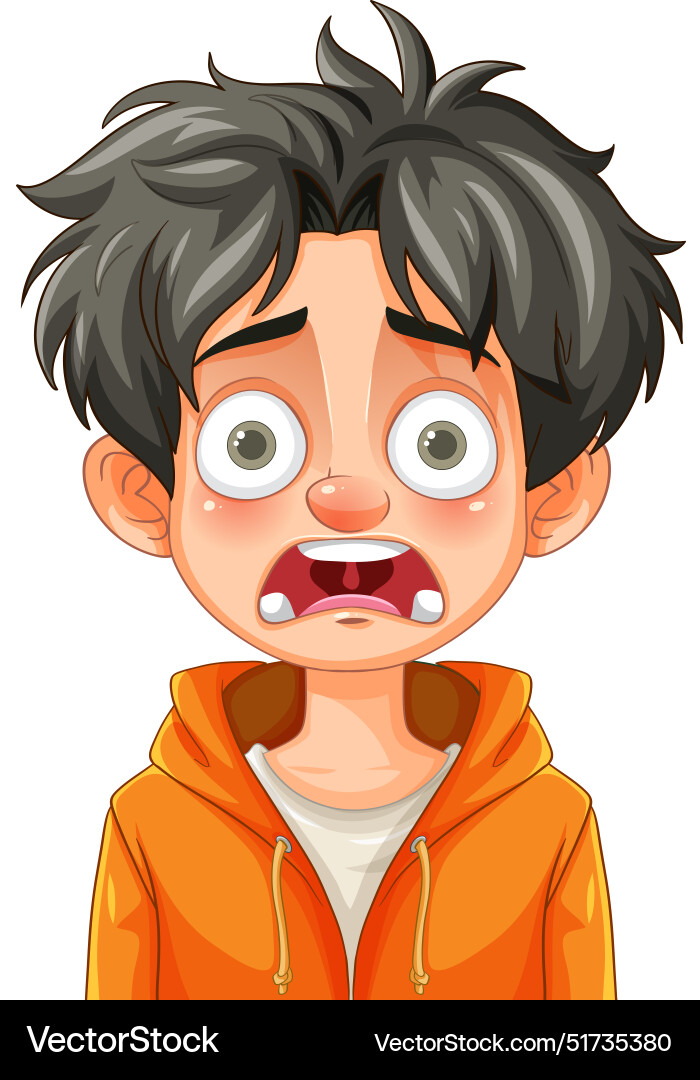 A boy with shocked expression Royalty Free Vector Image