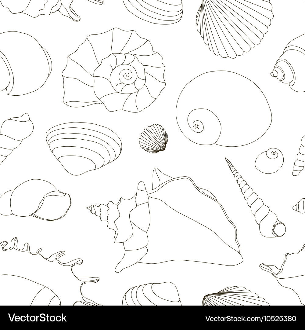 Shell set pattern Royalty Free Vector Image - VectorStock