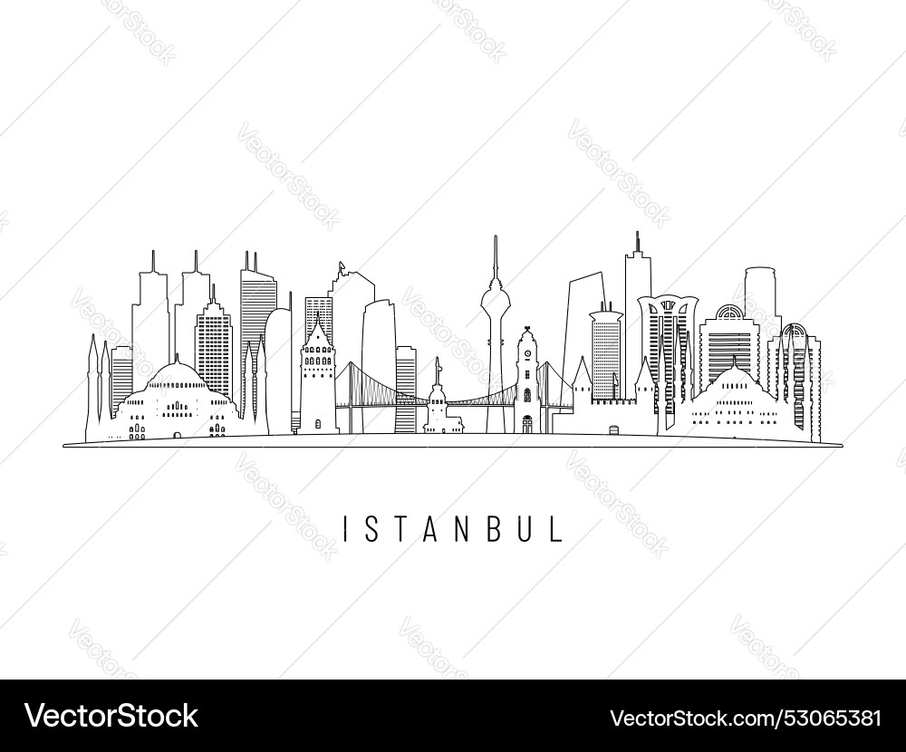 Detailed istanbul skyline Royalty Free Vector Image