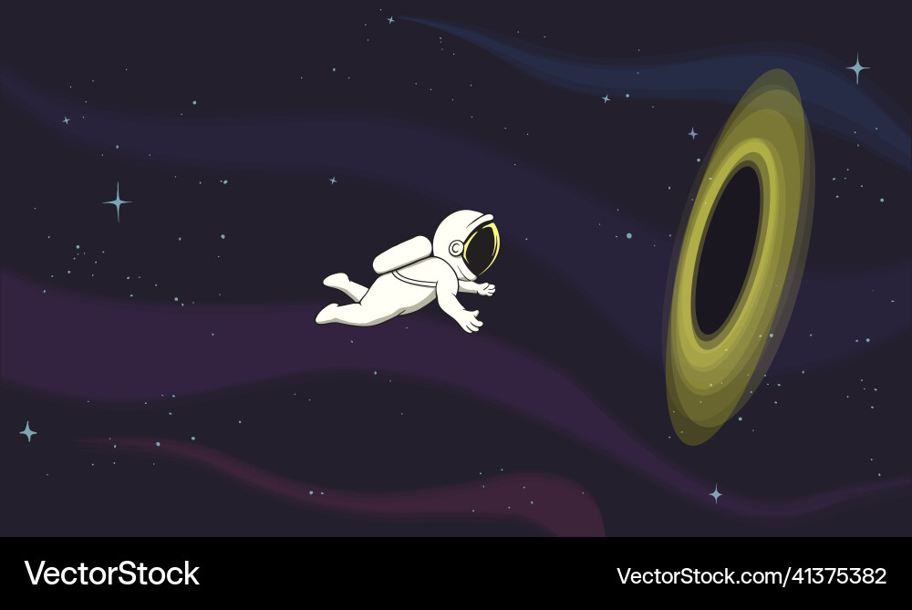 A Black Hole Astronaut Falling Into