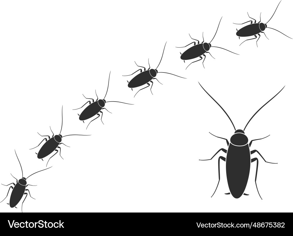 Cockroach Royalty Free Vector Image - VectorStock