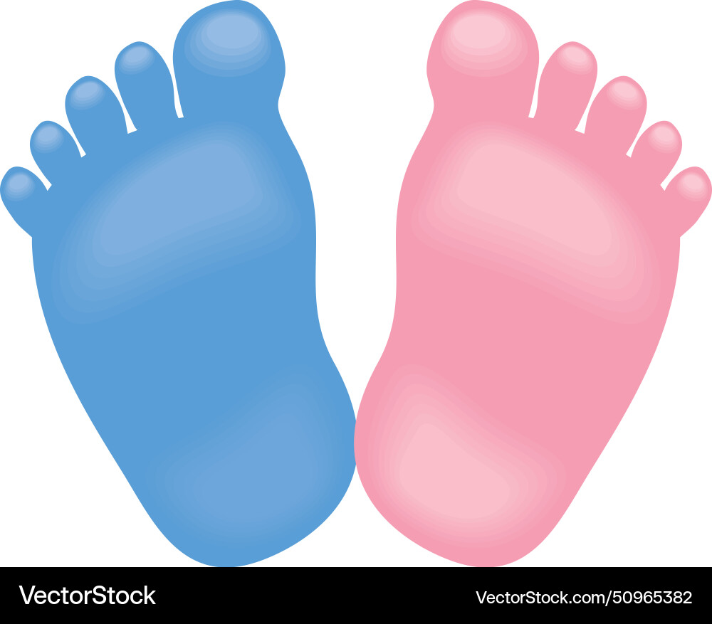 Gender reveal footprints Royalty Free Vector Image