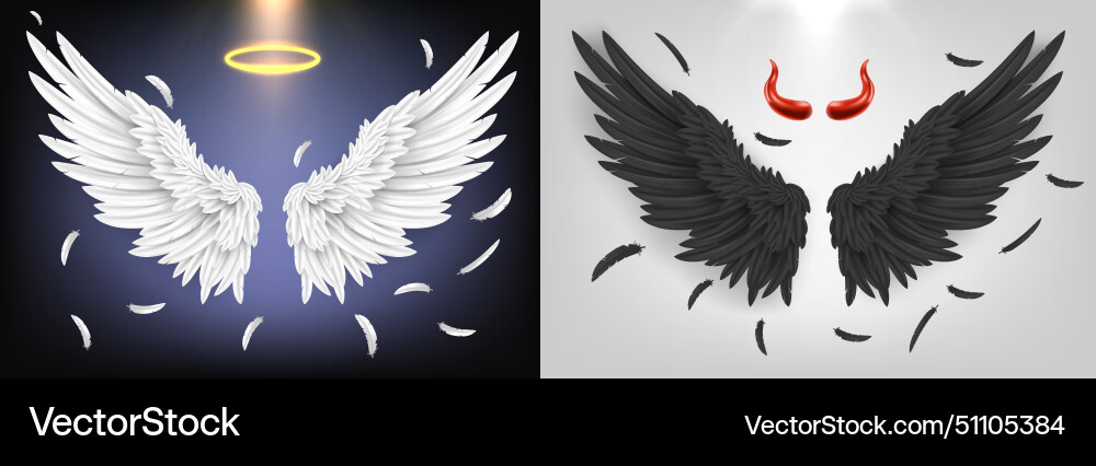 Angel and demon wing black white feathered Vector Image