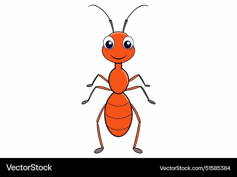 Explore the world of ant cartoons fun educational Vector Image