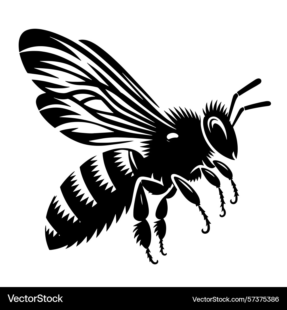 Black flying bee silhouette pollinator clipart Vector Image