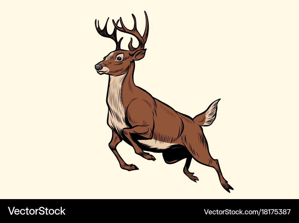Running deer jump Royalty Free Vector Image - VectorStock