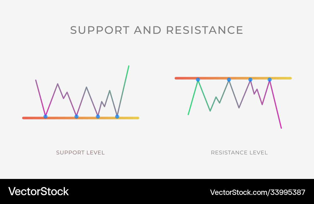 Support and resistance level chart pattern Vector Image