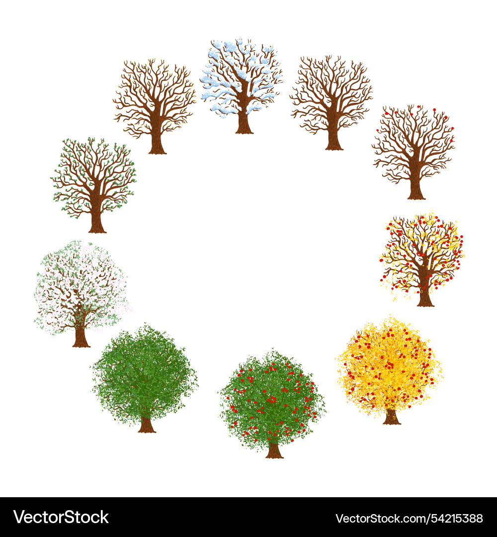 Seasonal tree representing yearly cycle Royalty Free Vector