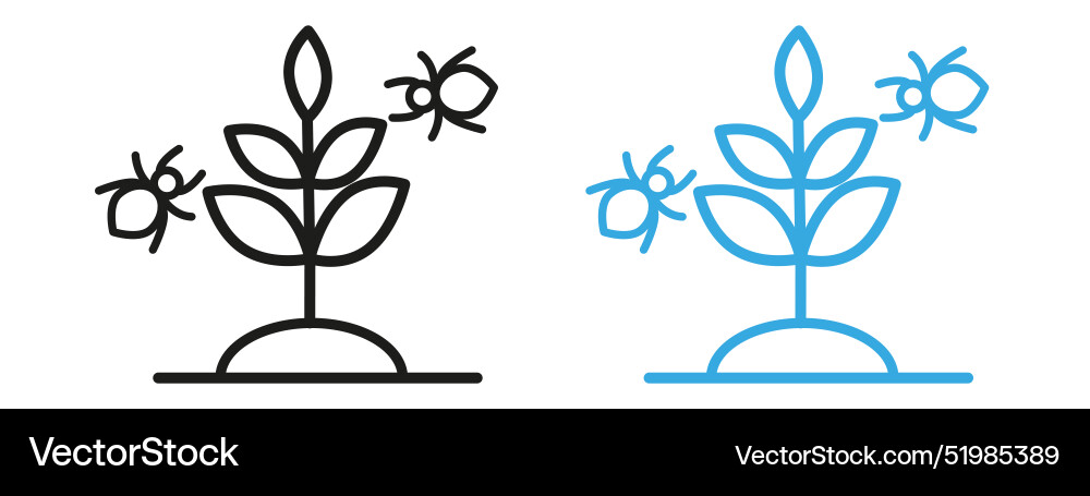 Pest plant emphasizing invasive species management