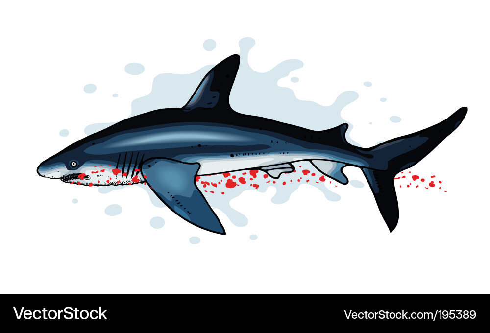Shark Royalty Free Vector Image - VectorStock