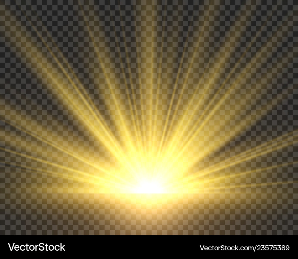 Sunlight Rays Vector
