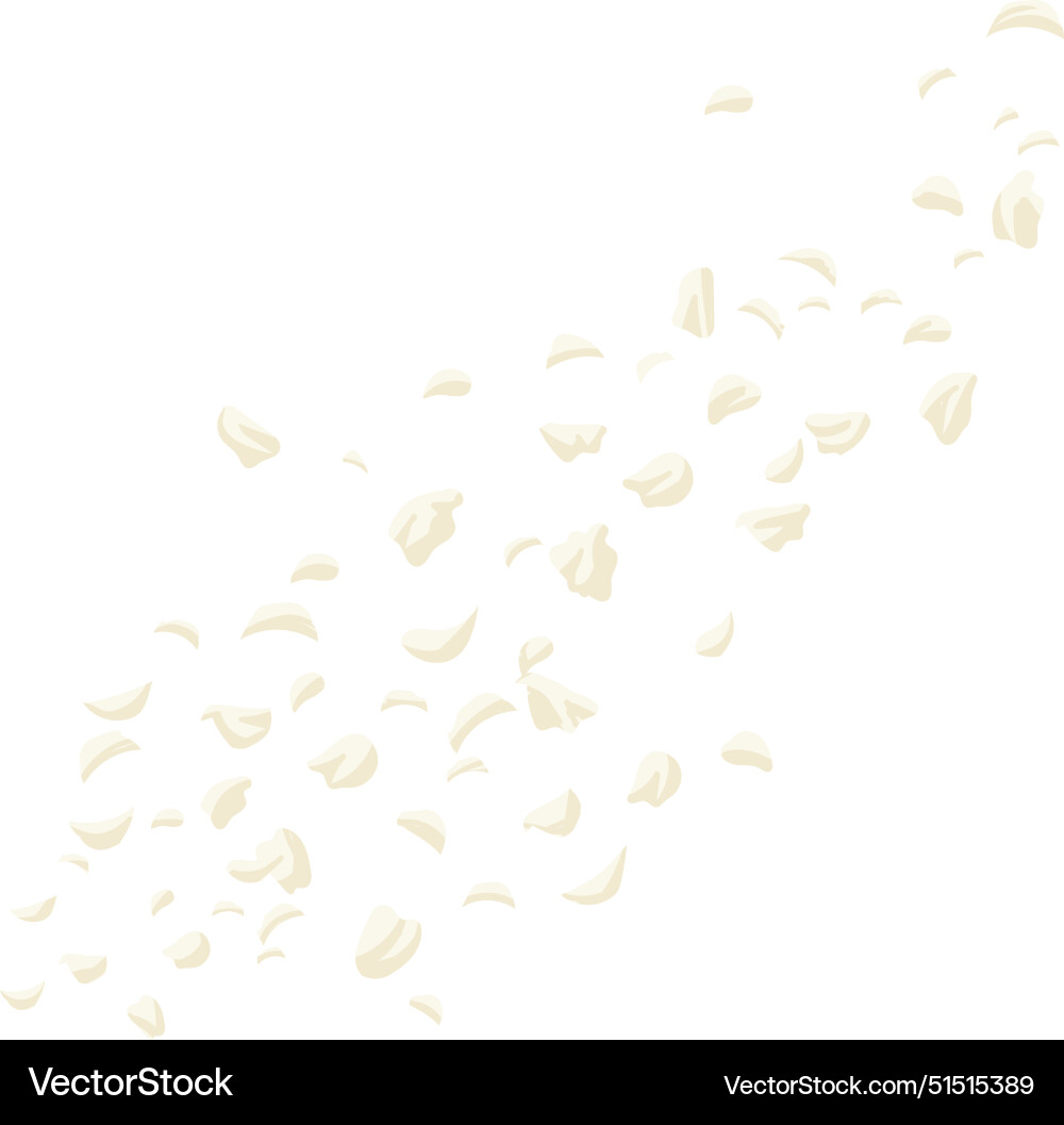 White cherry blossom petals rose falling flower Vector Image
