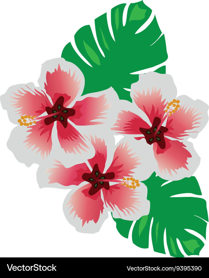 Hawaii flower Royalty Free Vector Image - VectorStock
