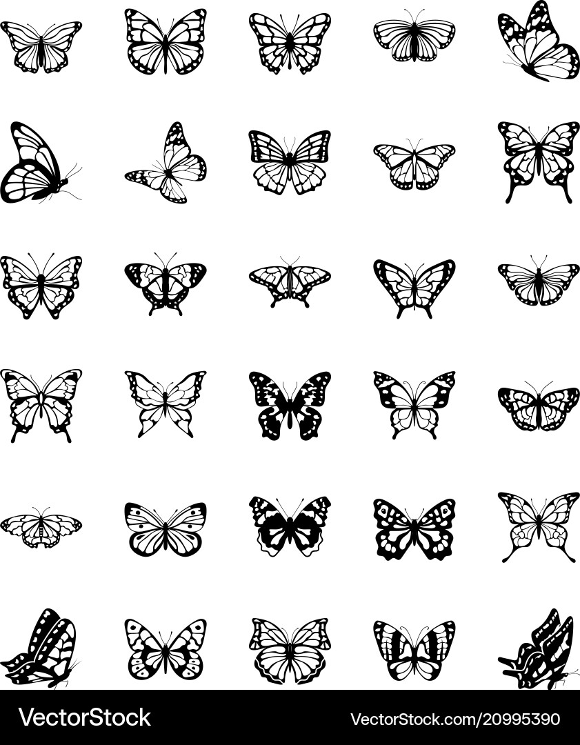 Alexandra Vector Images (33)