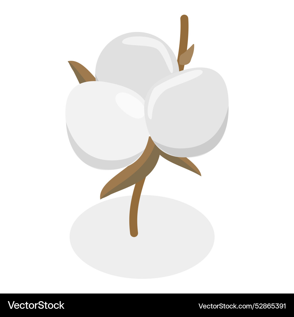 3d isometric flat of cotton Royalty Free Vector Image
