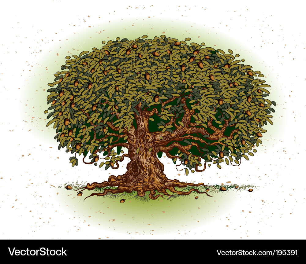 Majestic Oak Tree Royalty Free Vector Image - VectorStock