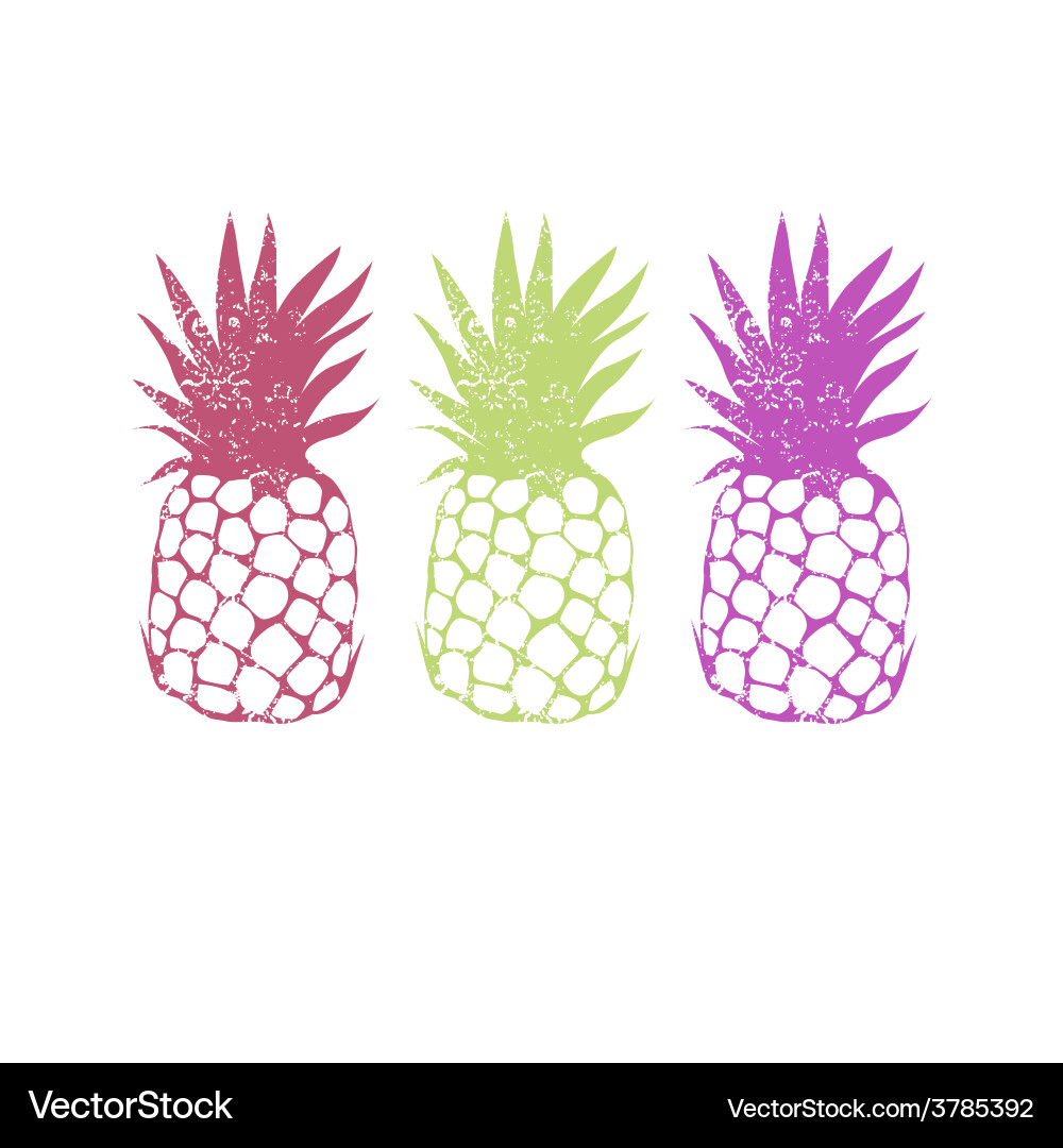 Design with pineapple Royalty Free Vector Image
