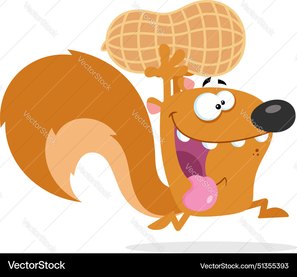 Crazy squirrel cartoon mascot character running Vector Image