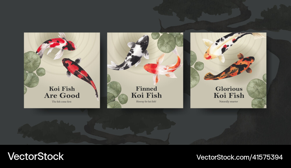 Banner template with koi fish conceptwatercolor Vector Image
