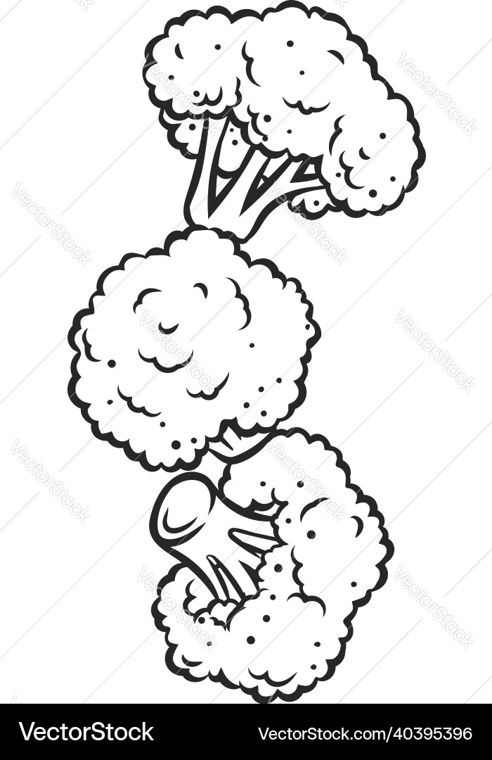 Outline falling broccoli Royalty Free Vector Image