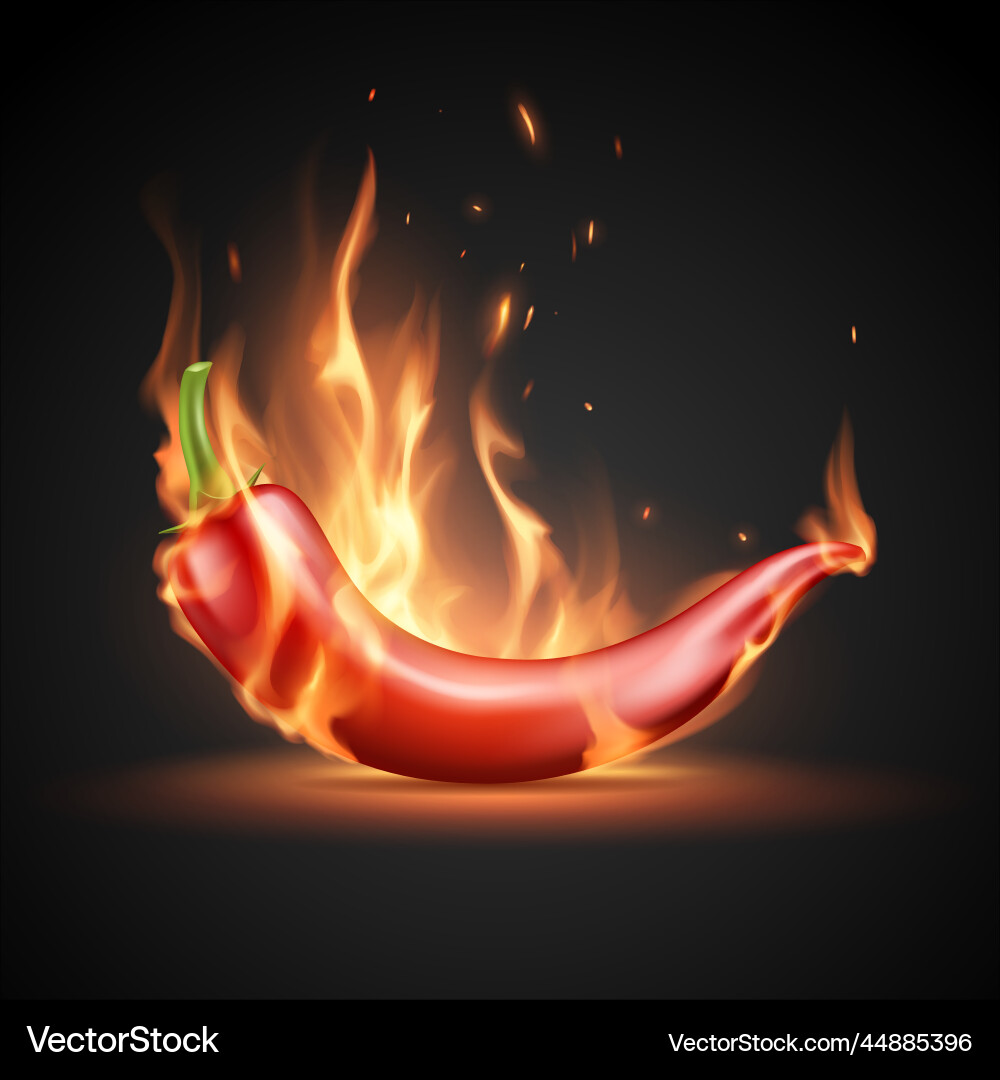 Realistic hot red pepper in flame Royalty Free Vector Image