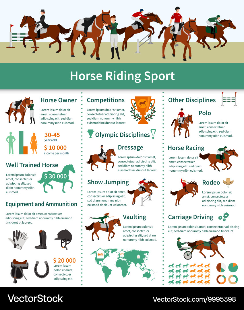 Rodeo Horse Infographics Royalty Free Vector Image
