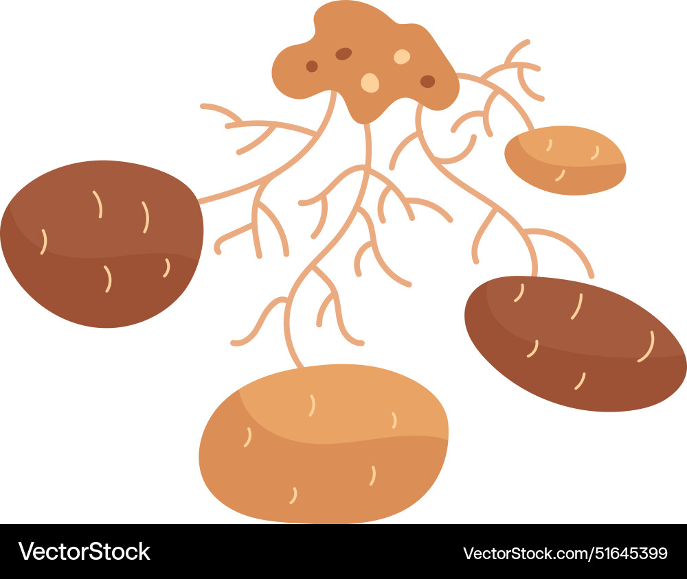 Simple tuber root system plant Lizenzfreies Vektorbild
