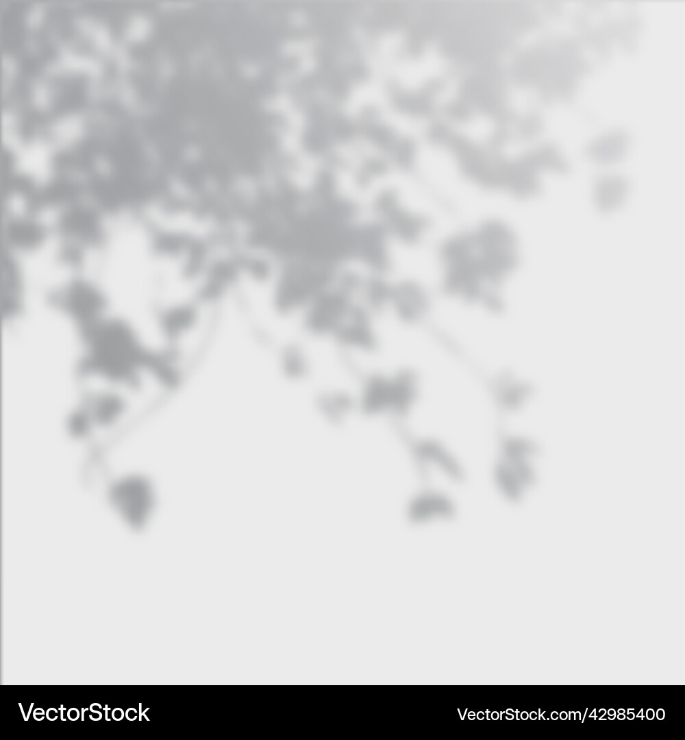 Realistic transparent overlay blurred shadow Vector Image