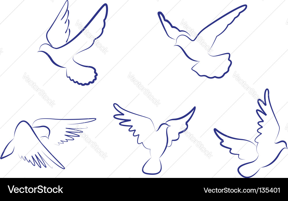 Doves Vector Images (over 57,000)