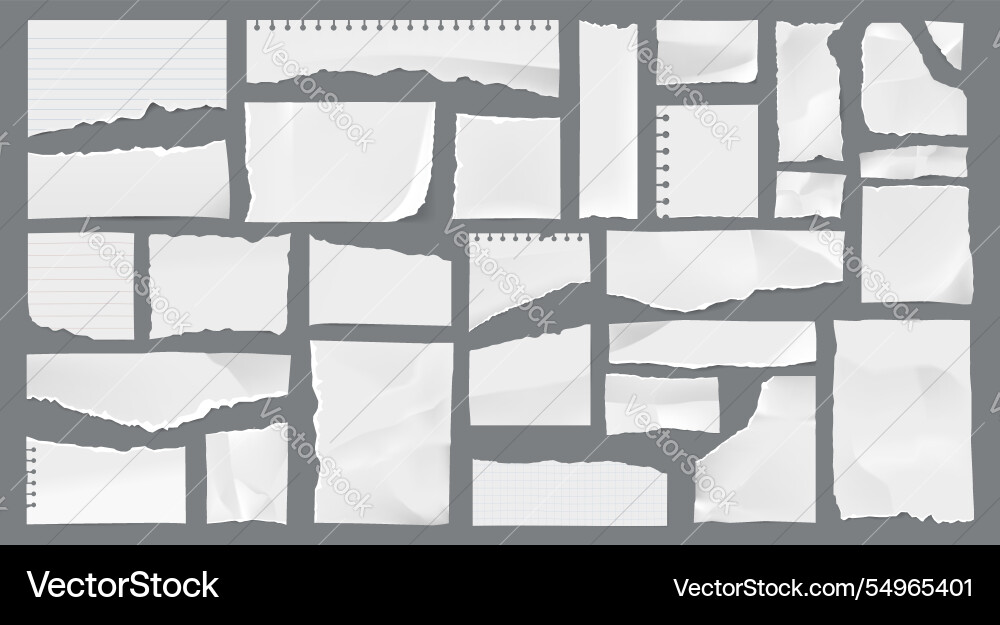 White torn paper texture rip tear pieces scraps Vector Image