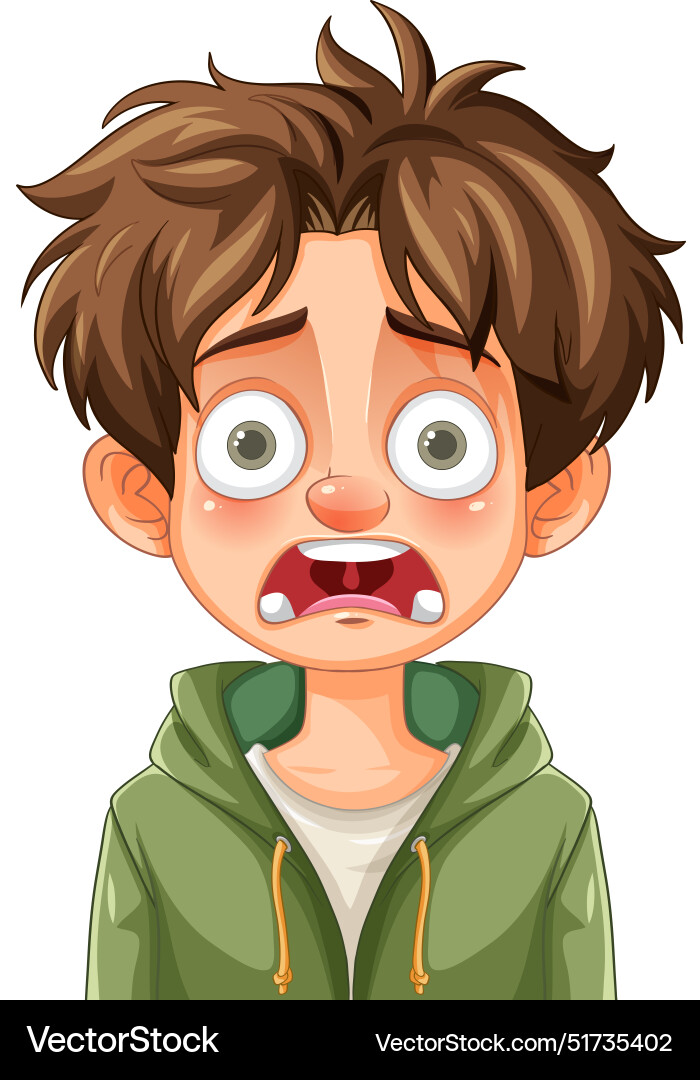 A boy with shocked expression Royalty Free Vector Image