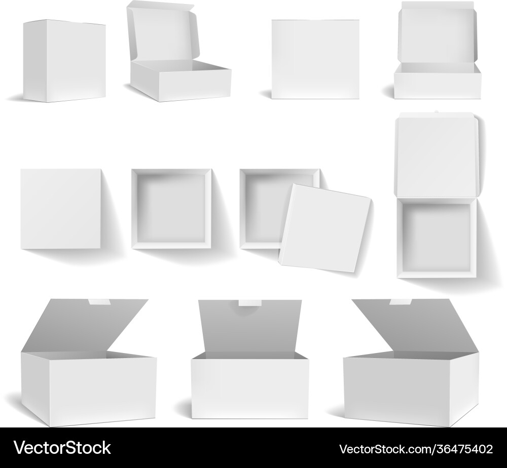 Box packaging blank white and black product Vector Image