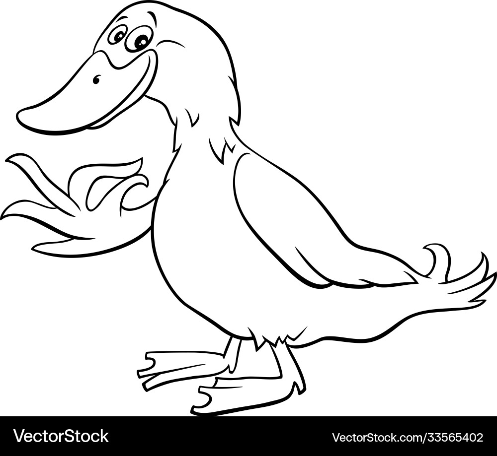 Duck farm bird character coloring book page Vector Image