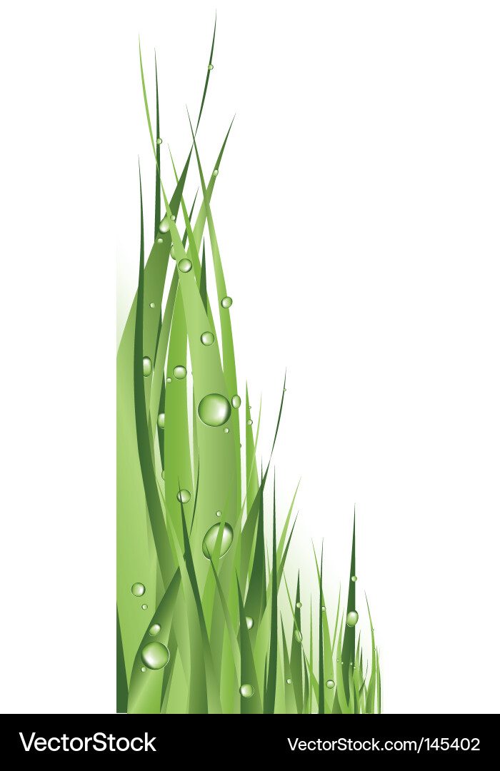 Grass Royalty Free Vector Image - VectorStock