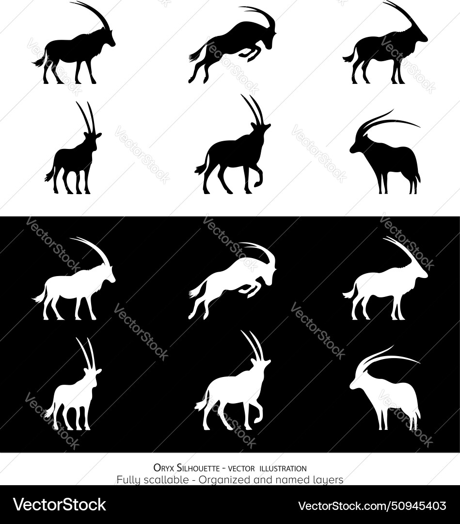 Iconic minimalistic oryx silhouette national Vector Image