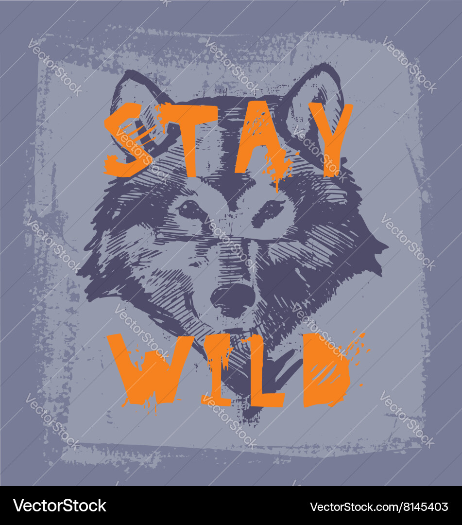 Wild wolf Royalty Free Vector Image - VectorStock