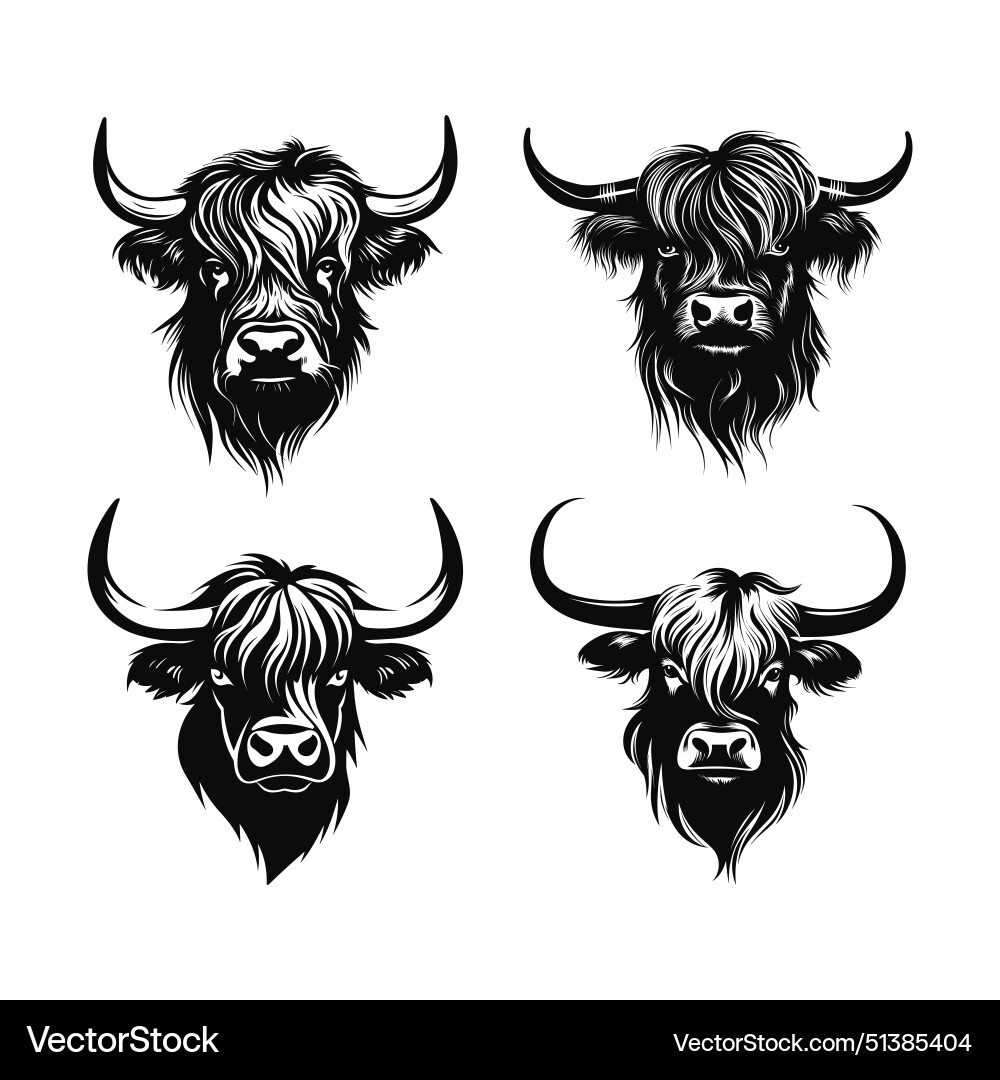 Highland cow heads black color Royalty Free Vector Image