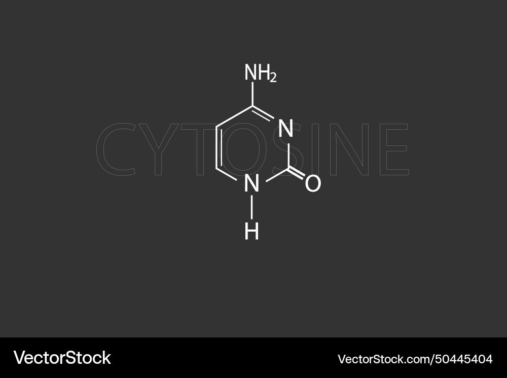 Montelukast molecular skeletal chemical formula Vector Image