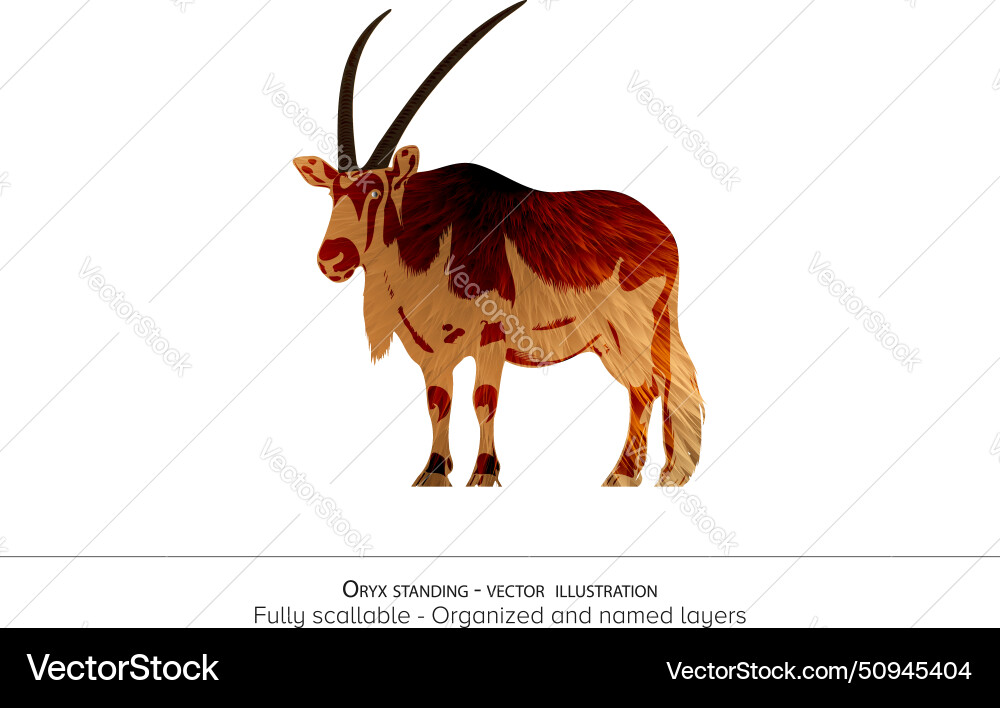 Oryx standing realistic animal - organized Vector Image