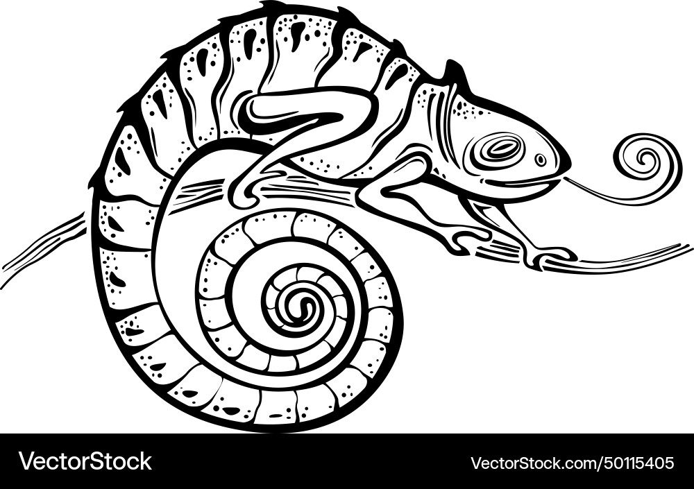 Black outline chameleon on white background Vector Image